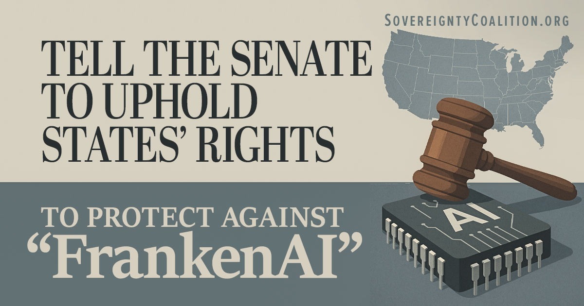 Uphold States’ Rights to Protect from Franken AI | AlignAct